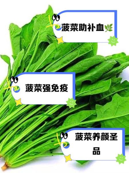 女人每天吃菠菜的好处_长期吃菠菜皮肤会变好吗-第1张图片-山城妙识