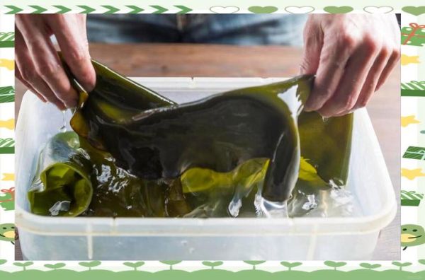 干海带要泡多久_干海带怎么泡发最快-第1张图片-山城妙识