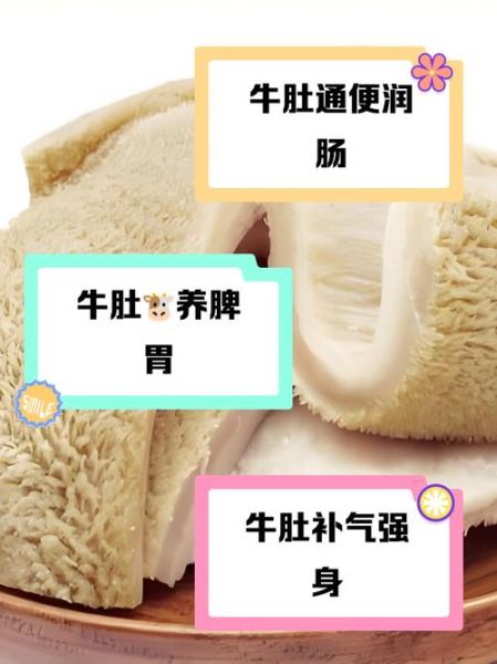 牛肚哪些人不能吃_牛肚禁忌人群有哪些-第1张图片-山城妙识