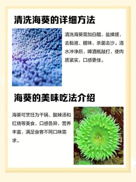 海葵能吃吗_海葵怎么处理才能吃-第1张图片-山城妙识 海葵能吃吗_海葵怎么处理才能吃-第1张图片-山城妙识