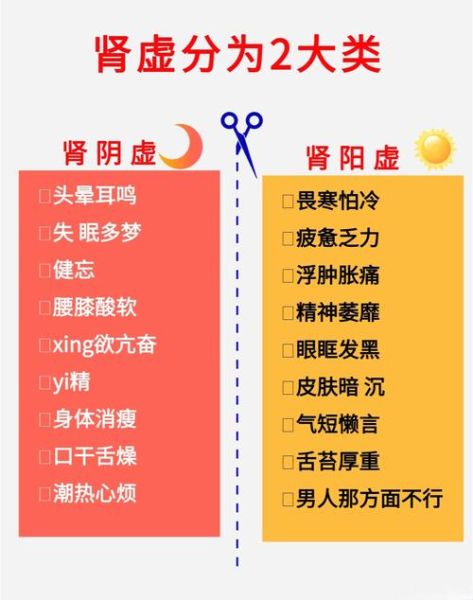 肾虚的症状有哪些_肾虚怎么调理最有效-第2张图片-山城妙识