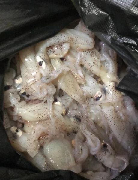 小海兔怎么清洗_小海兔炒多久才嫩-第1张图片-山城妙识