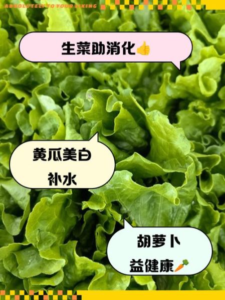 可以生吃的蔬菜有哪些_生吃蔬菜安全吗-第2张图片-山城妙识