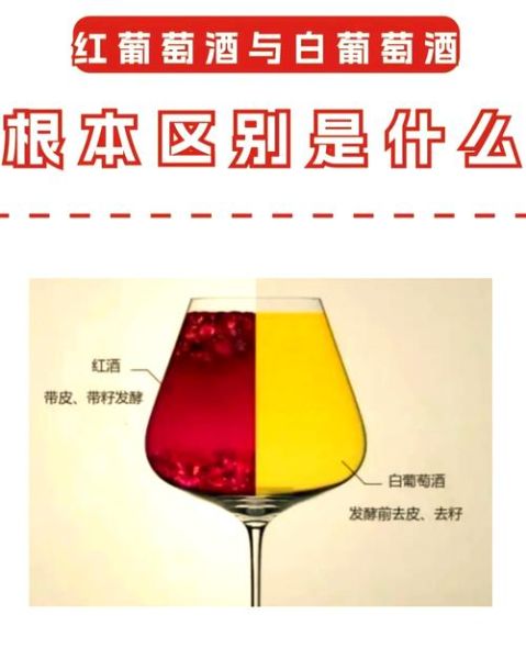 白葡萄酒贵还是红葡萄酒贵_价格差异原因-第1张图片-山城妙识