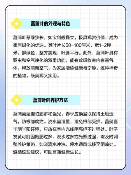 菖蒲长什么样_菖蒲叶子图片特征-第1张图片-山城妙识 菖蒲长什么样_菖蒲叶子图片特征-第1张图片-山城妙识