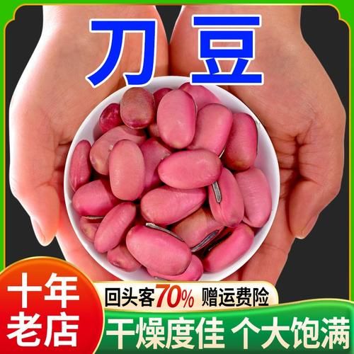 刀豆小说好看吗_刀豆小说结局是什么-第1张图片-山城妙识