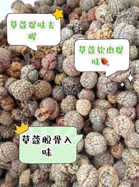 草寇的功效与作用及食用方法_草寇怎么吃不上火-第1张图片-山城妙识
