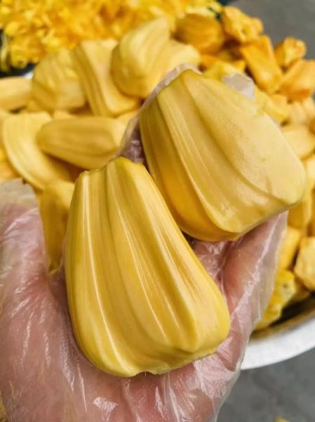 菠萝蜜图片大全高清_菠萝蜜怎么挑选图解-第3张图片-山城妙识 菠萝蜜图片大全高清_菠萝蜜怎么挑选图解-第3张图片-山城妙识