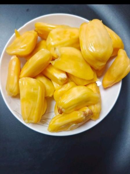 菠萝蜜图片大全高清_菠萝蜜怎么挑选图解-第2张图片-山城妙识 菠萝蜜图片大全高清_菠萝蜜怎么挑选图解-第2张图片-山城妙识