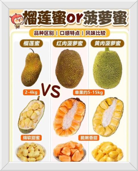 菠萝蜜图片大全高清_菠萝蜜怎么挑选图解-第1张图片-山城妙识 菠萝蜜图片大全高清_菠萝蜜怎么挑选图解-第1张图片-山城妙识
