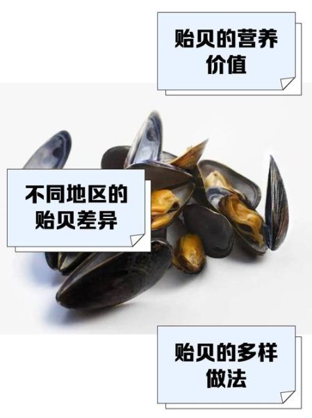 贻贝的功效与作用_怎么吃最营养-第3张图片-山城妙识 贻贝的功效与作用_怎么吃最营养-第3张图片-山城妙识