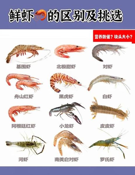 虾和什么搭配最营养_虾的最佳营养搭档-第1张图片-山城妙识