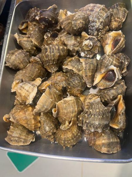 黄花鱼是海鲜吗_黄花鱼属于海鱼还是淡水鱼-第1张图片-山城妙识 黄花鱼是海鲜吗_黄花鱼属于海鱼还是淡水鱼-第1张图片-山城妙识