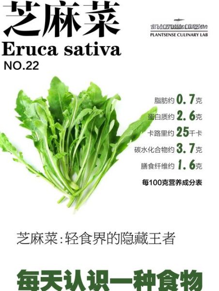 芝麻菜的营养价值_芝麻菜怎么吃最健康-第3张图片-山城妙识 芝麻菜的营养价值_芝麻菜怎么吃最健康-第3张图片-山城妙识