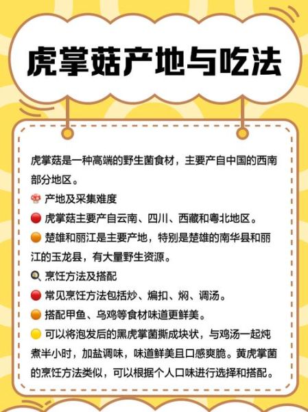 虎掌菌多少钱一斤_虎掌菌怎么吃最好-第1张图片-山城妙识 虎掌菌多少钱一斤_虎掌菌怎么吃最好-第1张图片-山城妙识