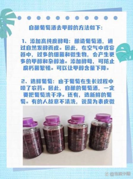 自酿葡萄酒最简单方法_需要哪些材料-第3张图片-山城妙识 自酿葡萄酒最简单方法_需要哪些材料-第3张图片-山城妙识