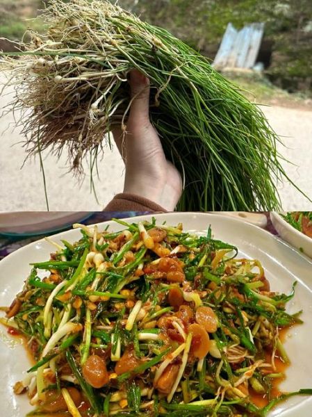 野葱怎么做好吃_野葱的家常做法大全-第1张图片-山城妙识