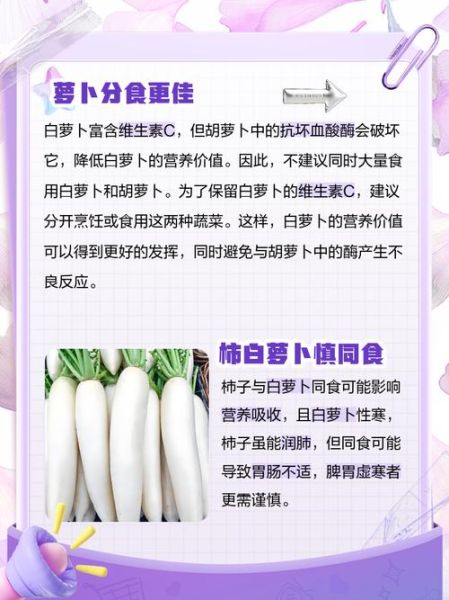 白萝卜不能和什么一起吃_白萝卜相克食物有哪些-第1张图片-山城妙识