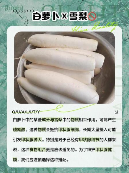 白萝卜不能和什么一起吃_白萝卜相克食物有哪些-第3张图片-山城妙识