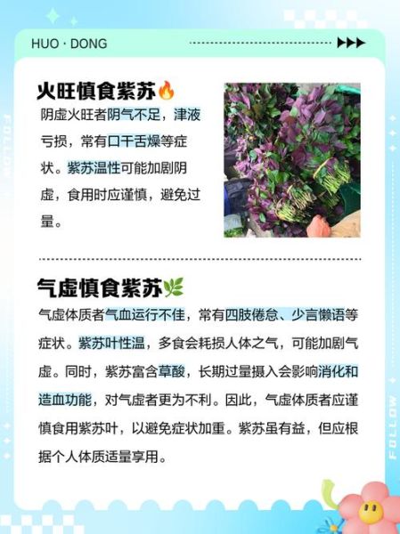 紫苏哪些人不能吃_紫苏禁忌人群-第1张图片-山城妙识 紫苏哪些人不能吃_紫苏禁忌人群-第1张图片-山城妙识