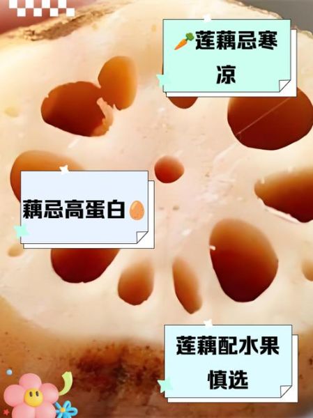 莲藕不能和什么一起吃_莲藕与哪些食物相克-第2张图片-山城妙识