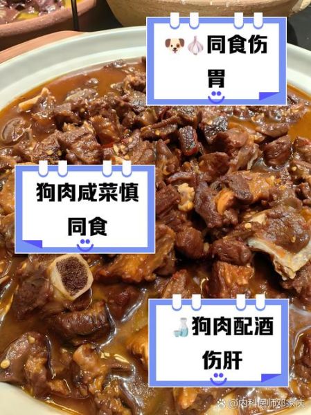 吃狗肉的禁忌有哪些_狗肉不能和什么一起吃-第1张图片-山城妙识 吃狗肉的禁忌有哪些_狗肉不能和什么一起吃-第1张图片-山城妙识