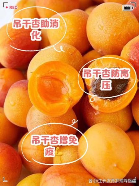 杏干孕妇可以吃吗_孕妇吃杏干对胎儿好吗-第1张图片-山城妙识 杏干孕妇可以吃吗_孕妇吃杏干对胎儿好吗-第1张图片-山城妙识