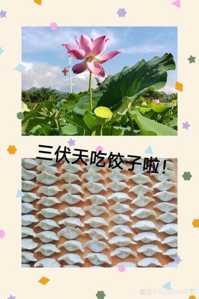 头伏吃饺子有什么寓意_头伏为什么要吃饺子-第3张图片-山城妙识 头伏吃饺子有什么寓意_头伏为什么要吃饺子-第3张图片-山城妙识