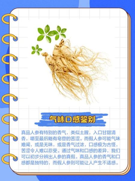 人参怎么区分真假_人参功效与作用有哪些-第2张图片-山城妙识