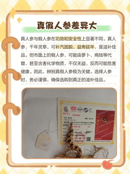 人参怎么区分真假_人参功效与作用有哪些-第3张图片-山城妙识