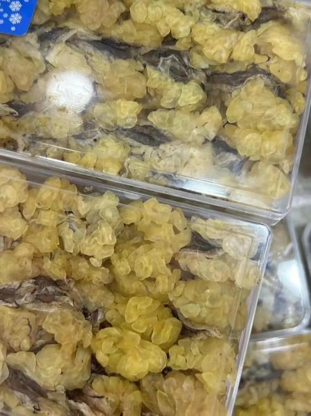 雪蛤油的副作用有哪些_雪蛤油吃了会发胖吗-第2张图片-山城妙识 雪蛤油的副作用有哪些_雪蛤油吃了会发胖吗-第2张图片-山城妙识