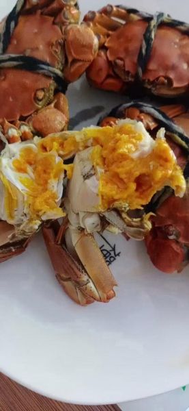 江苏大闸蟹多少钱一斤_正宗阳澄湖价格-第1张图片-山城妙识 江苏大闸蟹多少钱一斤_正宗阳澄湖价格-第1张图片-山城妙识