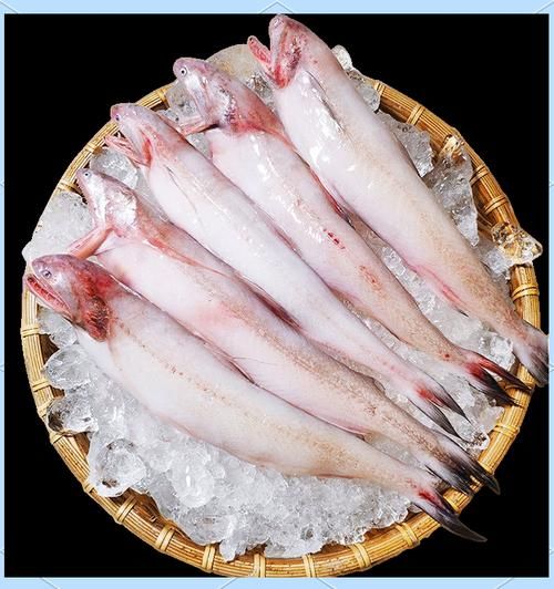 龙头鱼是什么鱼_龙头鱼多少钱一斤-第3张图片-山城妙识