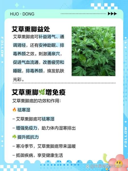 熏艾草的功效与作用禁忌_孕妇能用艾草熏房间吗-第2张图片-山城妙识 熏艾草的功效与作用禁忌_孕妇能用艾草熏房间吗-第2张图片-山城妙识