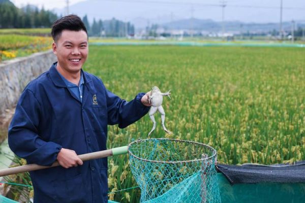 牛蛙养殖一亩可养多少_牛蛙养殖密度怎么算-第3张图片-山城妙识 牛蛙养殖一亩可养多少_牛蛙养殖密度怎么算-第3张图片-山城妙识