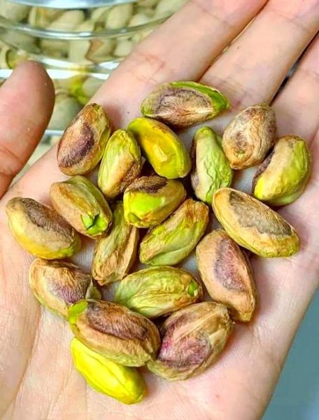 开心果是银杏树的果实吗_开心果和银杏果的区别-第2张图片-山城妙识