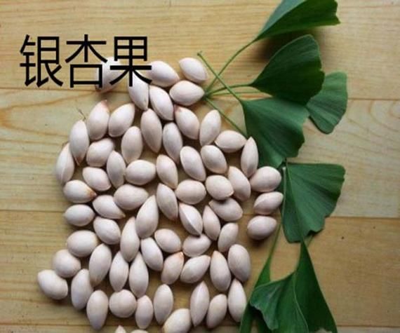 开心果是银杏树的果实吗_开心果和银杏果的区别-第3张图片-山城妙识
