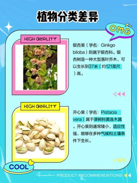 开心果是银杏树的果实吗_开心果和银杏果的区别-第1张图片-山城妙识