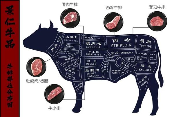 牛排是牛的哪个部位_不同部位口感差异-第3张图片-山城妙识 牛排是牛的哪个部位_不同部位口感差异-第3张图片-山城妙识