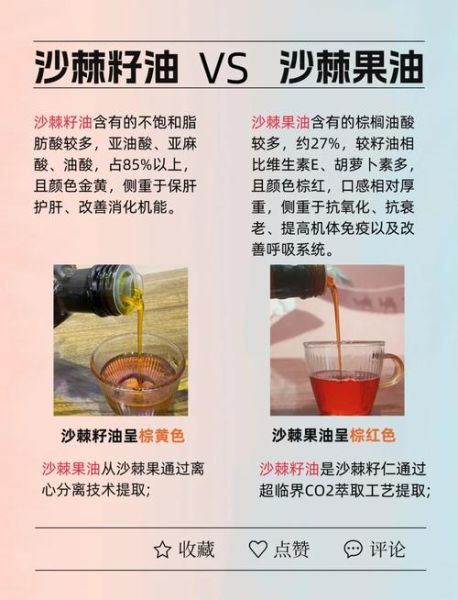 沙棘果油的功效与作用_沙棘果油怎么吃最好-第1张图片-山城妙识 沙棘果油的功效与作用_沙棘果油怎么吃最好-第1张图片-山城妙识