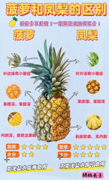 菠萝怎么吃才安全_菠萝不能和什么一起吃-第2张图片-山城妙识