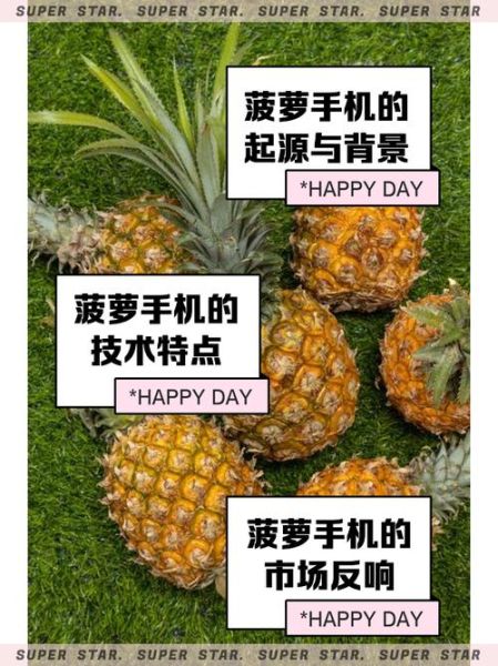 菠萝手机多少钱_菠萝手机价格是多少-第1张图片-山城妙识