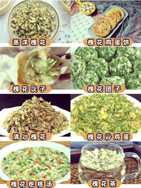 槐花怎么吃_槐花家常做法大全-第1张图片-山城妙识