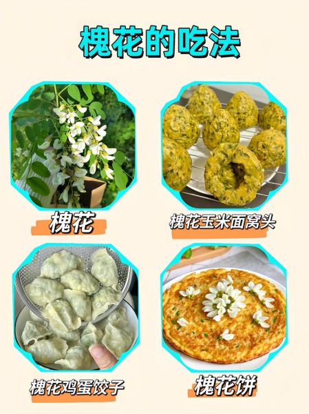 槐花怎么吃_槐花家常做法大全-第3张图片-山城妙识