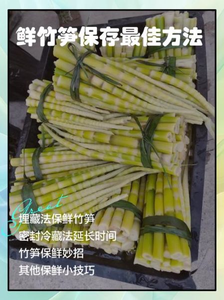 竹笋怎么保存_新鲜竹笋如何挑选-第2张图片-山城妙识
