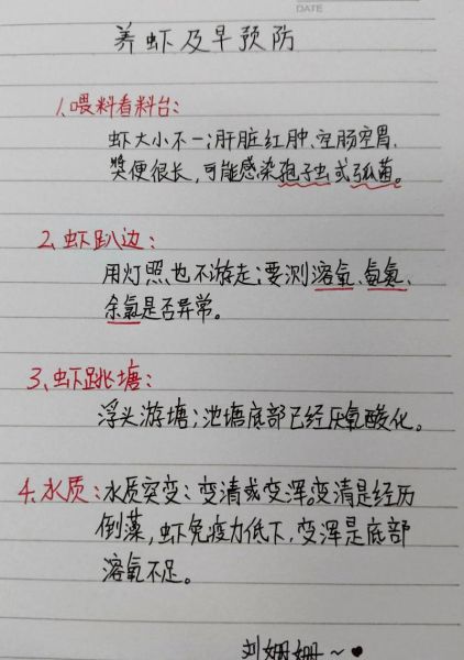 对虾怎么养才能多活三天_对虾暂养不死技巧-第1张图片-山城妙识 对虾怎么养才能多活三天_对虾暂养不死技巧-第1张图片-山城妙识