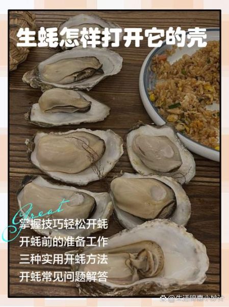 生蚝怎么开壳_生蚝开壳最简单的方法-第2张图片-山城妙识 生蚝怎么开壳_生蚝开壳最简单的方法-第2张图片-山城妙识