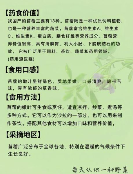 苜蓿草怎么吃_苜蓿草的功效与作用-第1张图片-山城妙识
