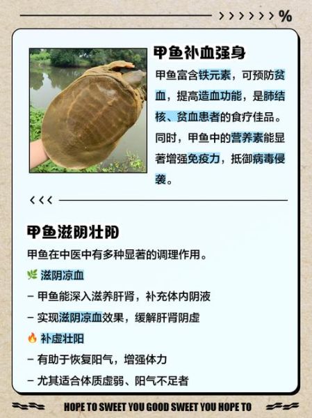 吃甲鱼有什么好处_甲鱼营养价值及功效-第1张图片-山城妙识 吃甲鱼有什么好处_甲鱼营养价值及功效-第1张图片-山城妙识