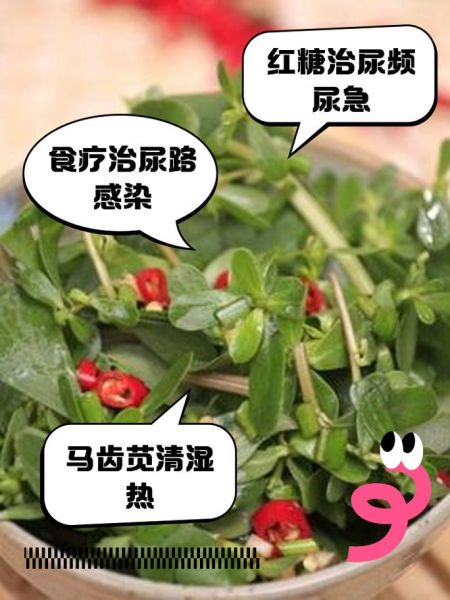 马齿苋煮水坐浴的功效_多久见效-第3张图片-山城妙识 马齿苋煮水坐浴的功效_多久见效-第3张图片-山城妙识